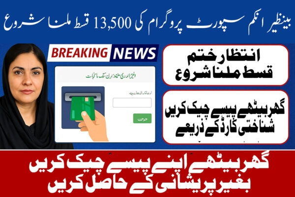 BISP 8171 Result 2025 Check Online By CNIC May Payment/Balance Check BISP 8171